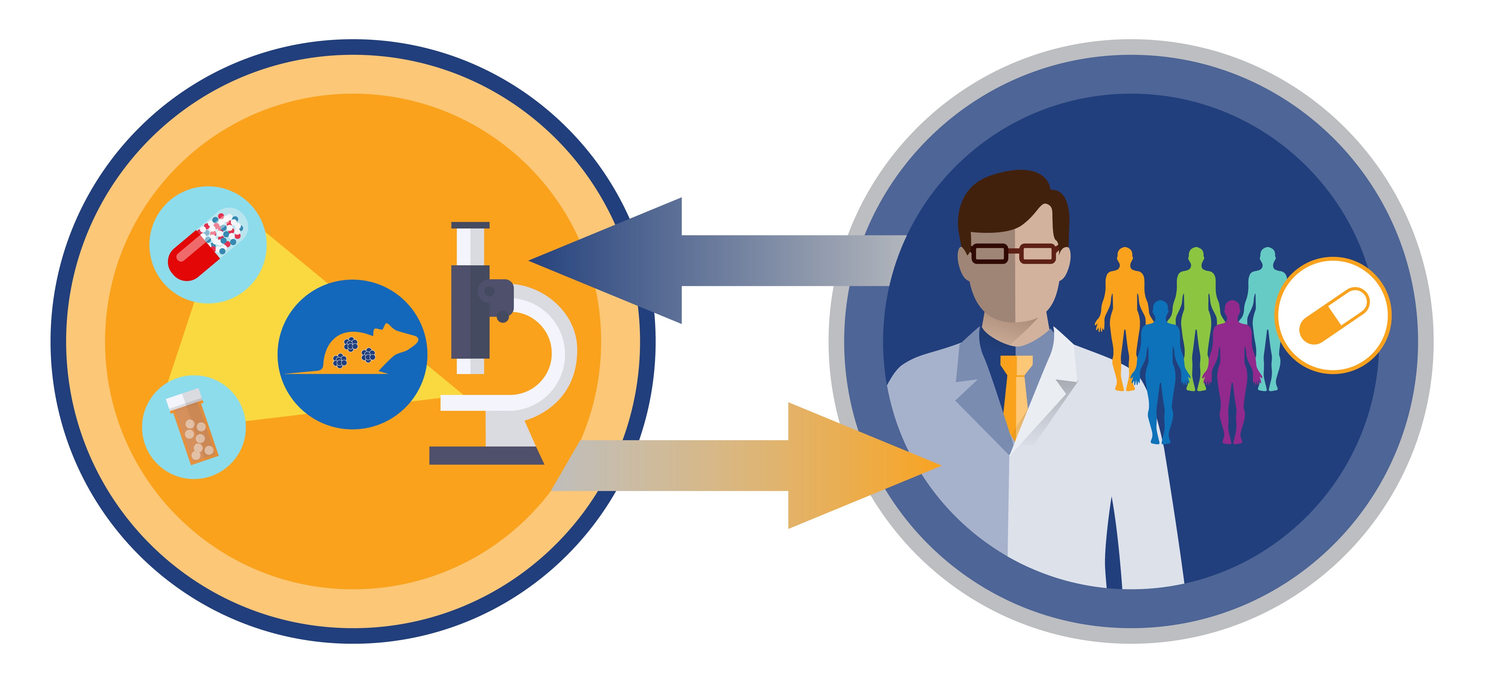 preclinical-immunotherapy-safety-assessment - Crown Bioscience Oncology and CVMD Models