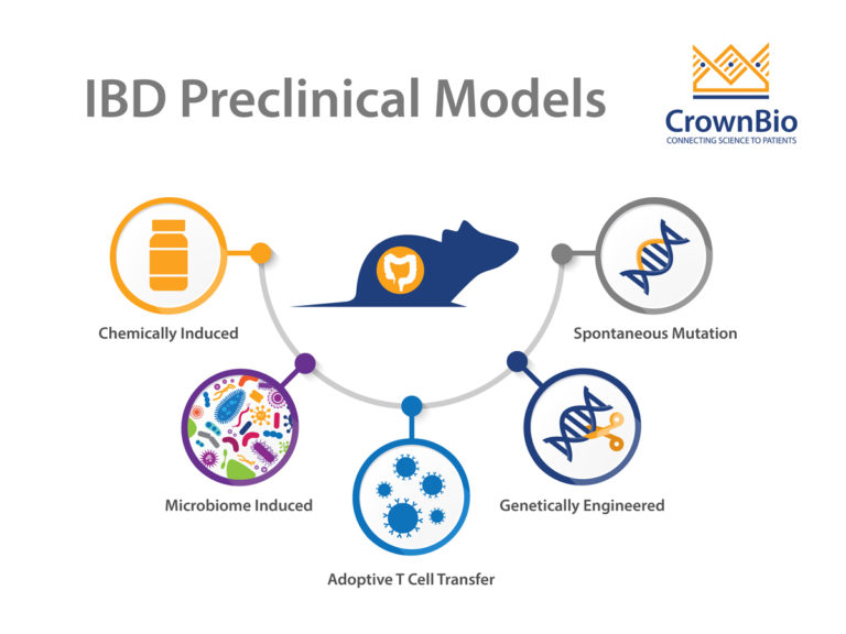 ibd-models-image - Crown Bioscience Oncology and CVMD Models