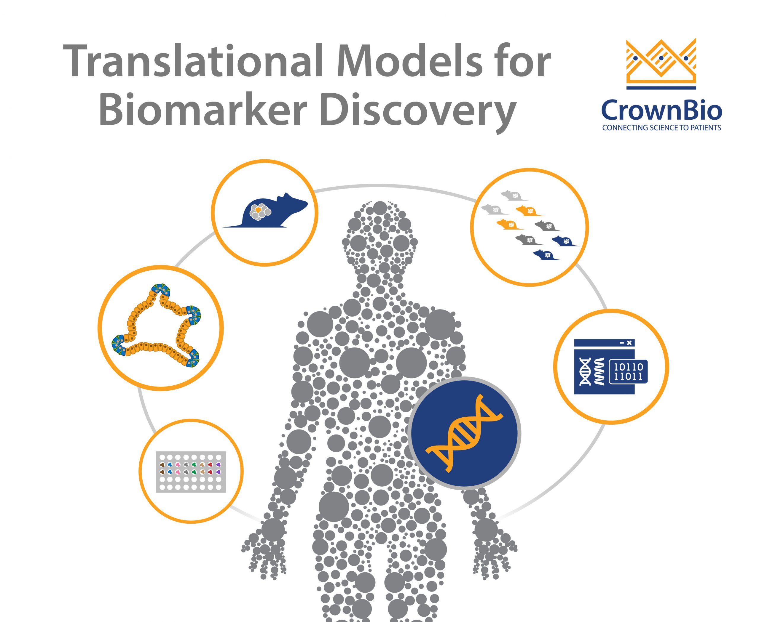 使用临床前转化模型鉴别预测性生物标志物 - Crown Bioscience Oncology and CVMD Models